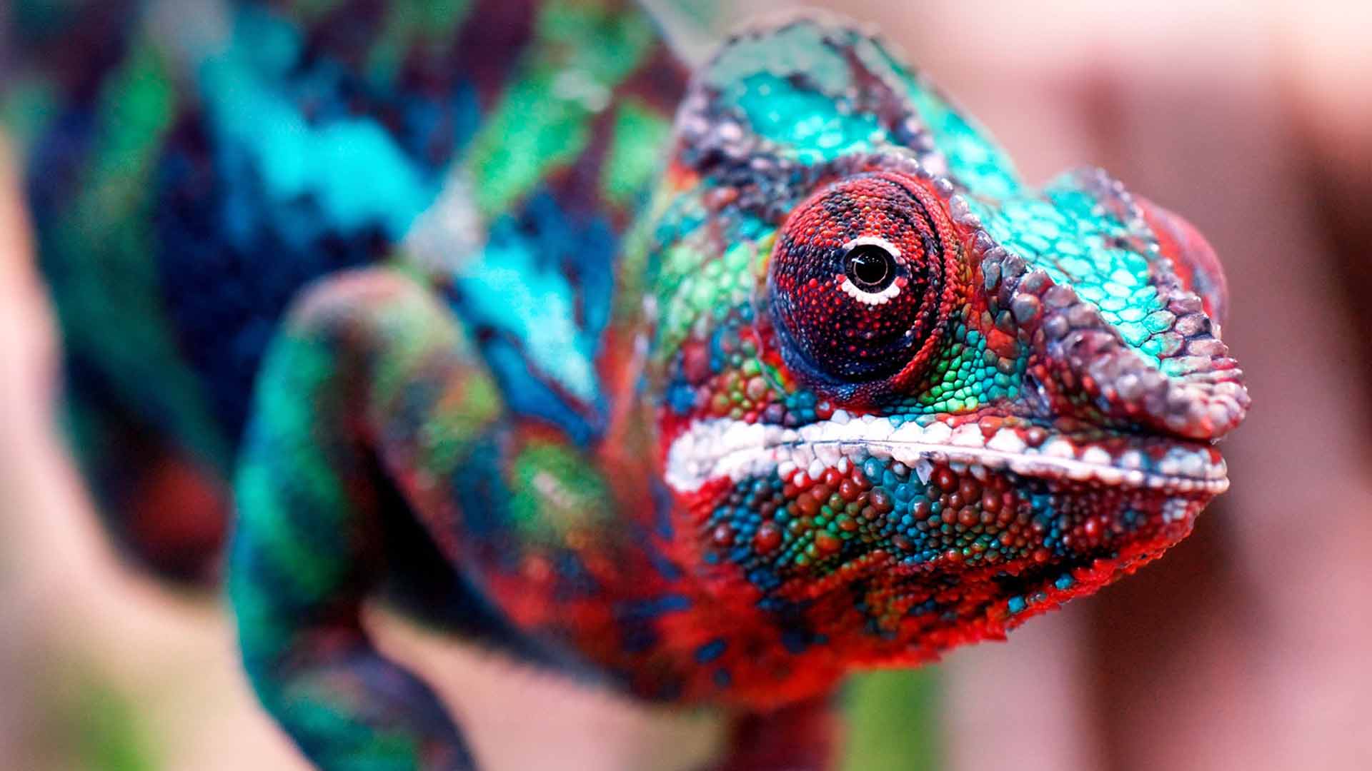 Encyclopedia Page 02 - Poema del Mar