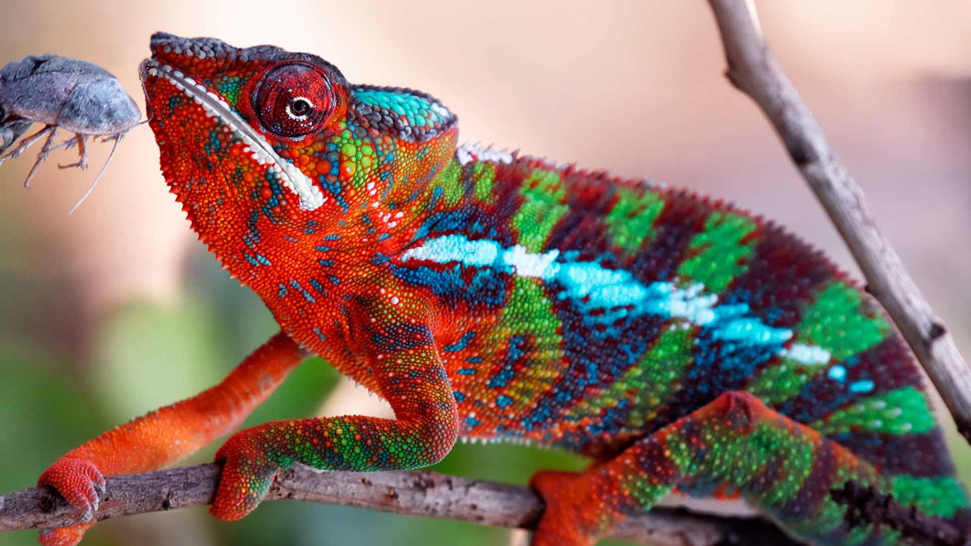 Encyclopedia Page 02 - Poema del Mar