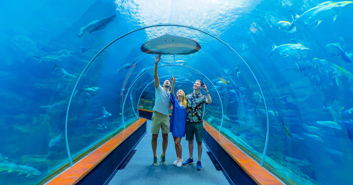 Giants of the Rivers - Poema del Mar