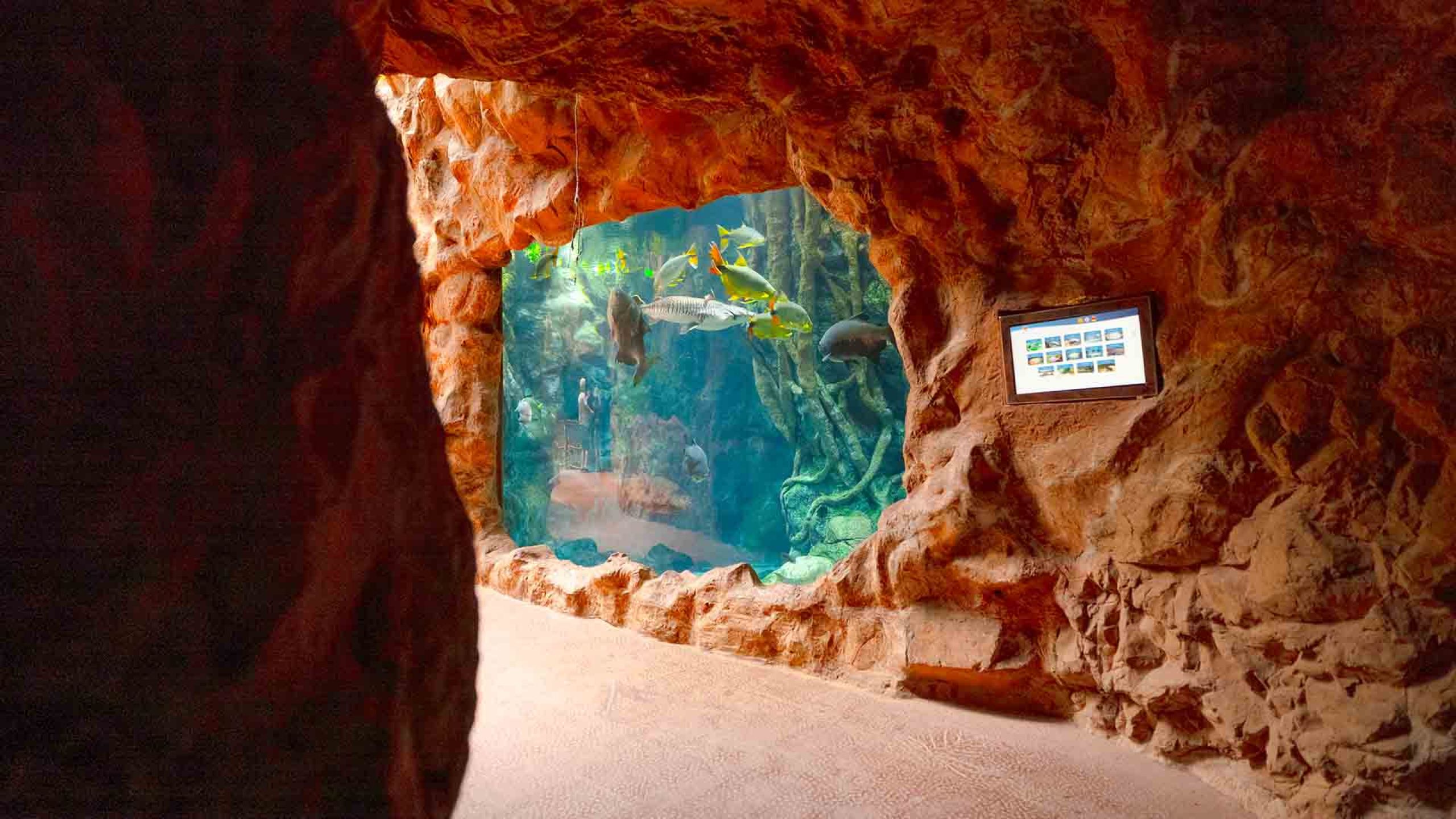 Amazonas-Bereich – Poema del Mar